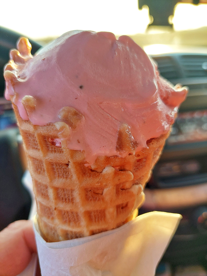 Strawberry ice cream cascading over a freshly made waffle cone&mdash;nature's perfect partnership since the invention of summer.
