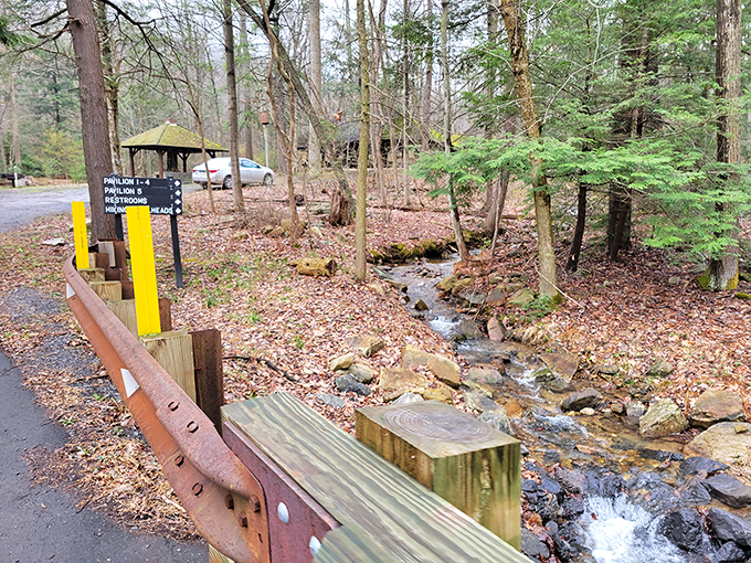 A babbling brook that actually babbles! This crystal-clear stream begins its journey just steps away, creating nature's perfect soundtrack for relaxation.