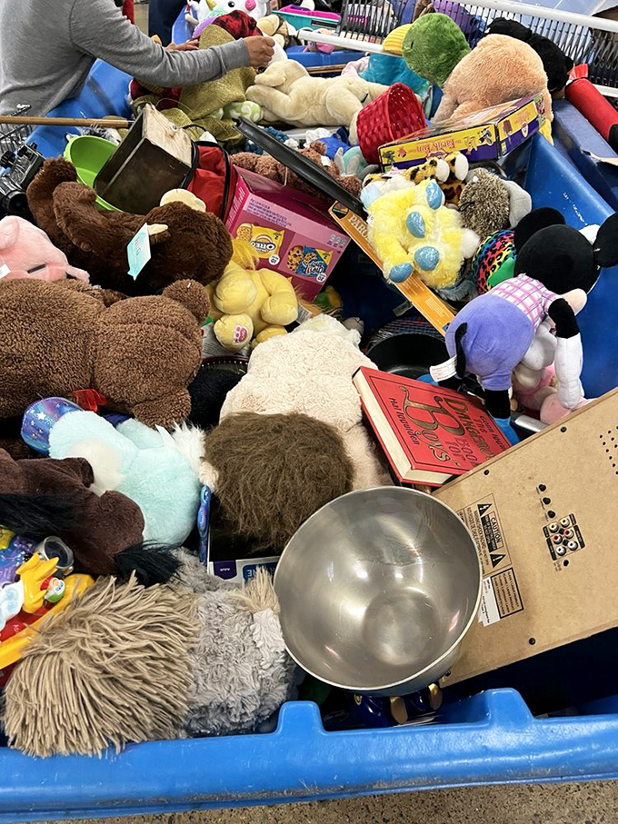 The stuffed animal adoption center, where previously loved teddy bears and plush pals wait hopefully for their second chance at cuddles.