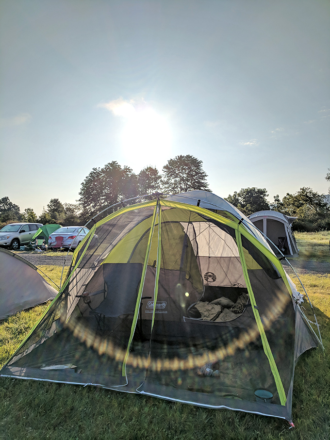 Some dedicated patrons bring camping gear, turning movie night into a full weekend of celluloid celebration.