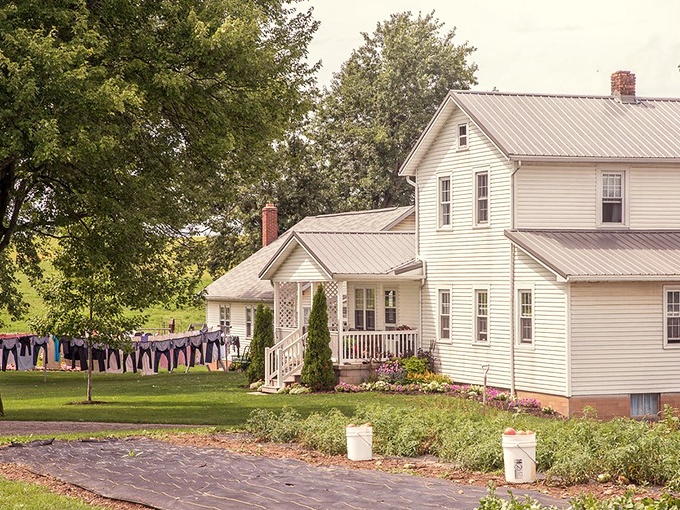 Laundry day at an Amish farmhouse—where clothes are dried by sunshine and wind, not by whatever setting your Samsung is permanently stuck on.