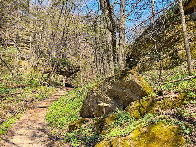 Nature's staircase beckons explorers. This winding trail through moss-covered rocks promises discoveries around every bend.