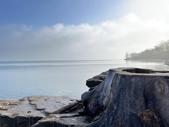 Nature's persistent optimism captured in stone&mdash;a tiny plant finding life between massive blocks, reminding us that beauty thrives in unlikely places.