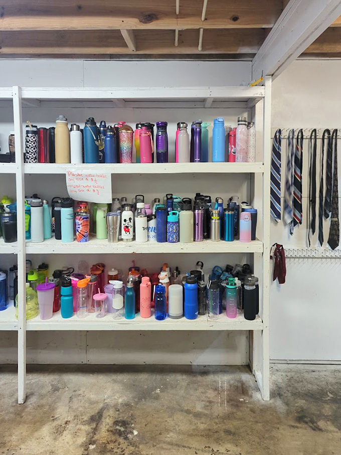 The tumbler collection rivals any trendy coffee shop, proving hydration never goes out of style or budget.