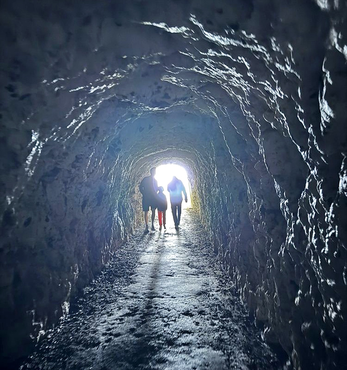 This tunnel through solid rock makes every visitor feel like Indiana Jones, but with better insurance.