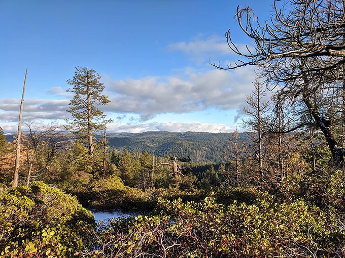 A vista that reminds you why landscape mode was invented for cameras. The Sierra Nevada unfolds like nature's own IMAX presentation.