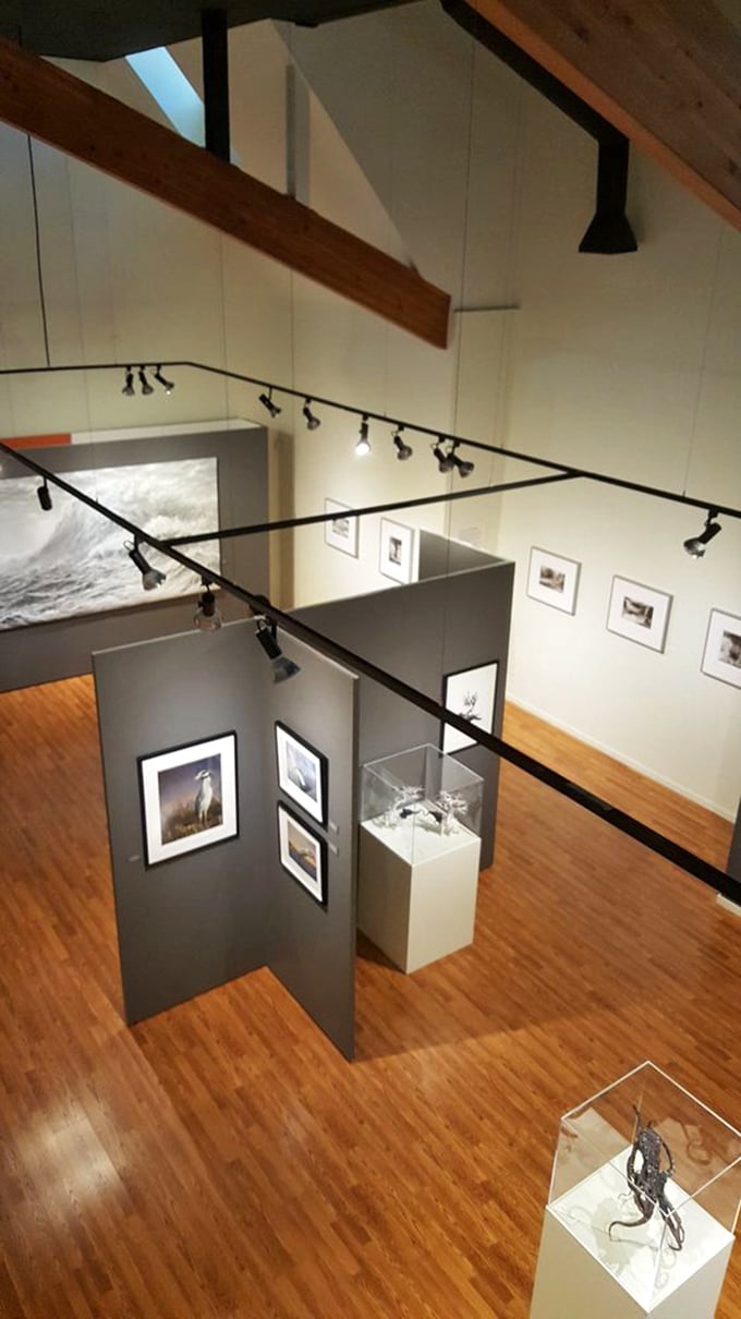 The museum's multi-level design creates intimate viewing spaces while maintaining an airy, open feel &ndash; like a treehouse for art lovers.