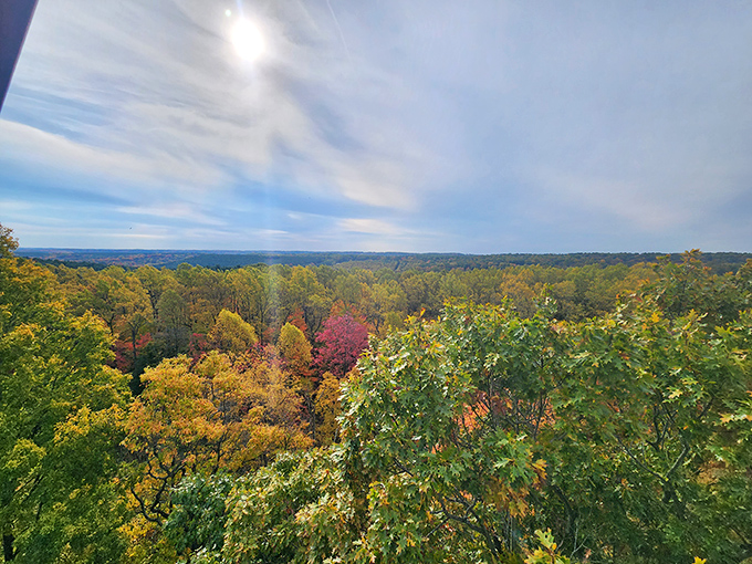 Fall's paintbrush transforms Mohican into nature's color palette&mdash;a masterpiece that makes even the most dedicated couch potatoes consider hiking boots.