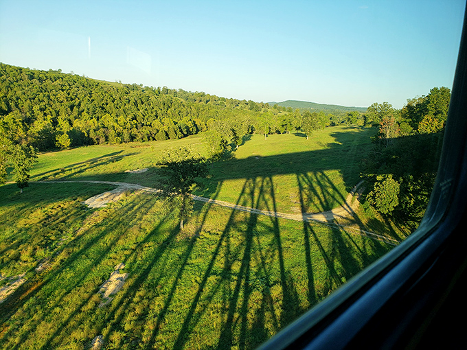 Nature casts long shadows across verdant fields as the train glides by. Those shadows? They're high-fives from the past to the present.