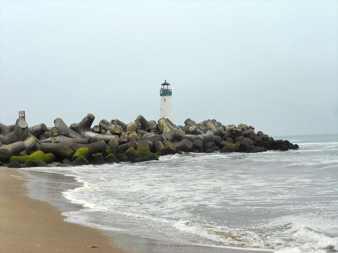 Emerging from the misty backdrop like a maritime guardian, the lighthouse stands sentinel over the rocky breakwater that protects Santa Cruz Harbor. 