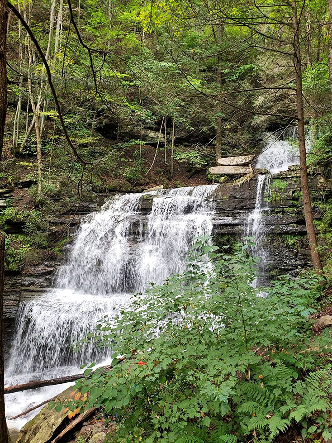Water doesn't just fall here, it cascades with theatrical flair, as if auditioning for National Geographic's cover shot.