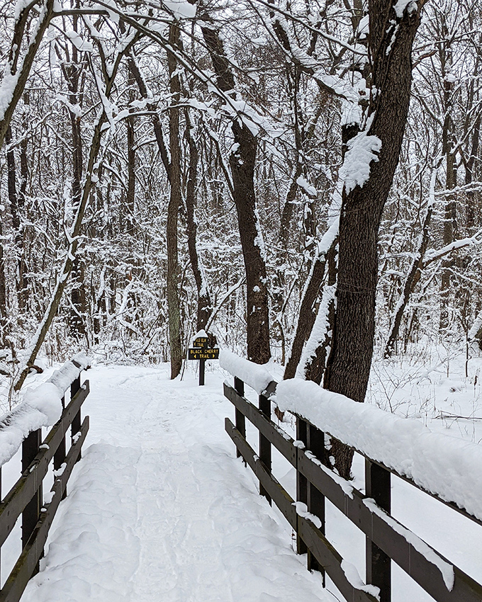 Winter's quiet transformation turns familiar paths into wonderlands. This snow-covered bridge leads to adventures that most visitors miss during the warmer months.