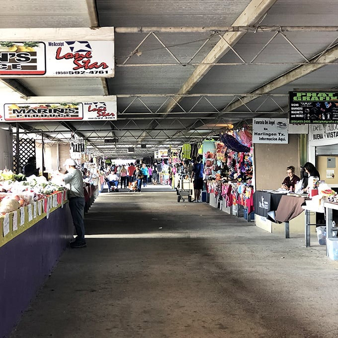 Wandering these aisles feels like flipping TV channels: fresh produce, bold colors, and surprise storylines.
