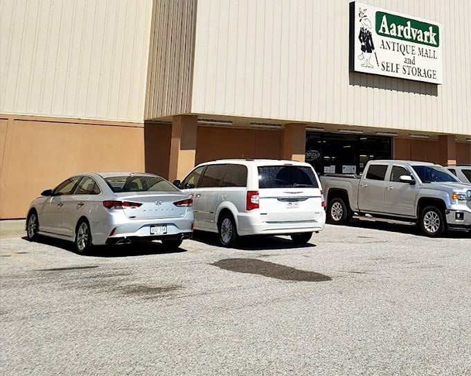 The massive Aardvark building promises hours of climate-controlled treasure hunting for determined shoppers everywhere.