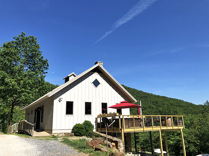 Ankida Ridge's cozy tasting room perches on the mountainside like a bird's nest &ndash; if birds were really into excellent Pinot Noir.