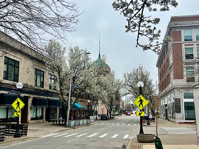 Champaign's charming downtown streets bloom with spring flowers and budget-friendly shopping opportunities around every corner.