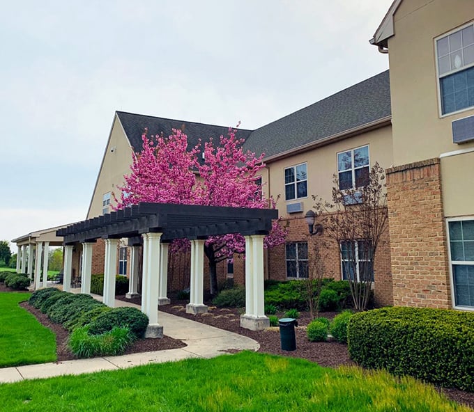 Pink blooms frame this elegant entrance like nature's own red carpet for discerning residents.