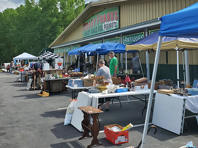 Books march in formation across tables, each one holding stories waiting for their next reader.