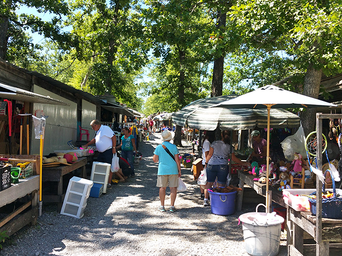 This covered pavilion protects shoppers while maintaining that authentic outdoor market atmosphere perfectly.