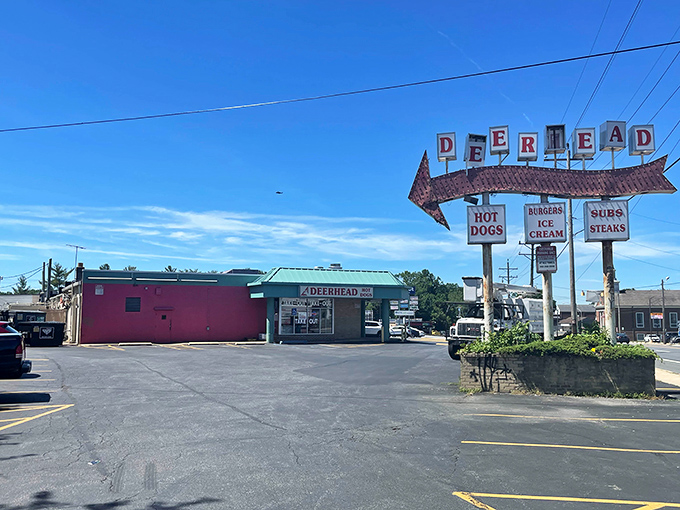 Another Deerhead outpost spreading the gospel of great dogs - some missions are worth duplicating.