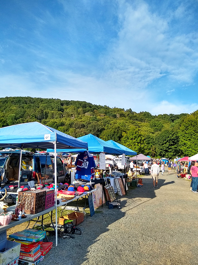 This sprawling outdoor space proves that bigger really is better when it comes to treasure hunting adventures.