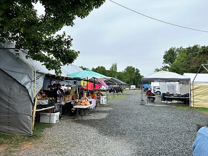Charlotte's flea market vendors create a pathway of possibilities. Each white tent is like opening another door in a treasure hunter's dream house.