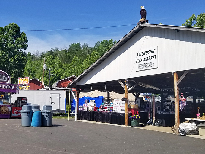 Nothing says "community gathering" quite like covered pavilions filled with friendly faces and hidden gems.