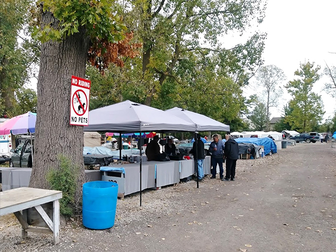 Fall leaves and vendor tents create the perfect backdrop for weekend treasure hunting at Greenlawn Grove Flea Market.