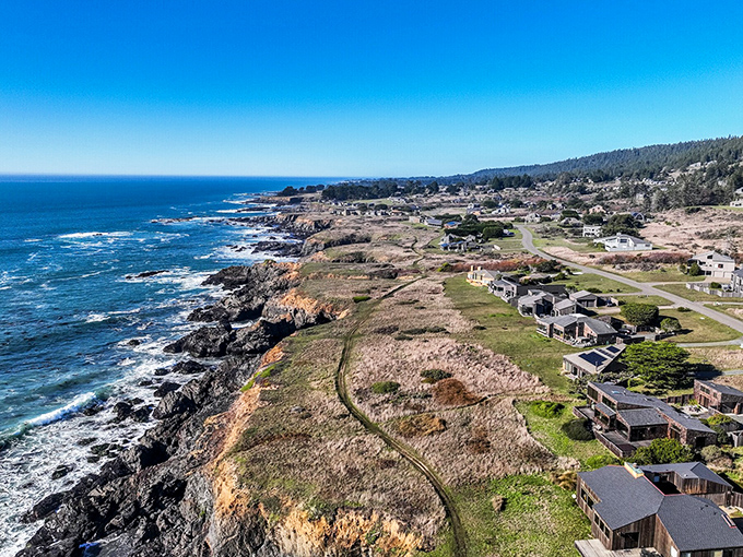 The dramatic cliffs and rolling waves create a scene that belongs on every California postcard.