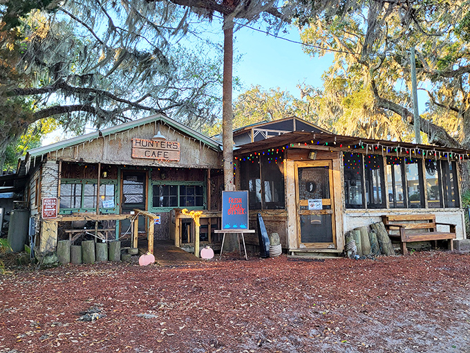 Hunter's Cafe hides among the trees like a delicious secret waiting to be discovered.