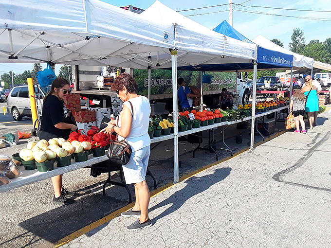 Jamie's Flea Market buzzes with activity as shoppers scan tables for that perfect something they didn't know they needed.