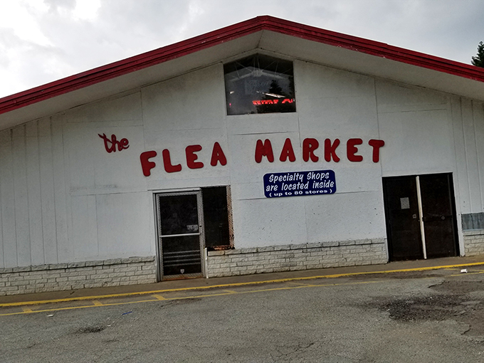 Simple white walls hide countless stories and treasures just waiting for the right person to find.