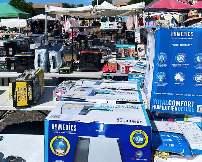 HoMedics heaven! Kobey's electronics bonanza offers more gadgets than a sci-fi movie, with humidifiers promising to moisturize San Diego's already perfect air.