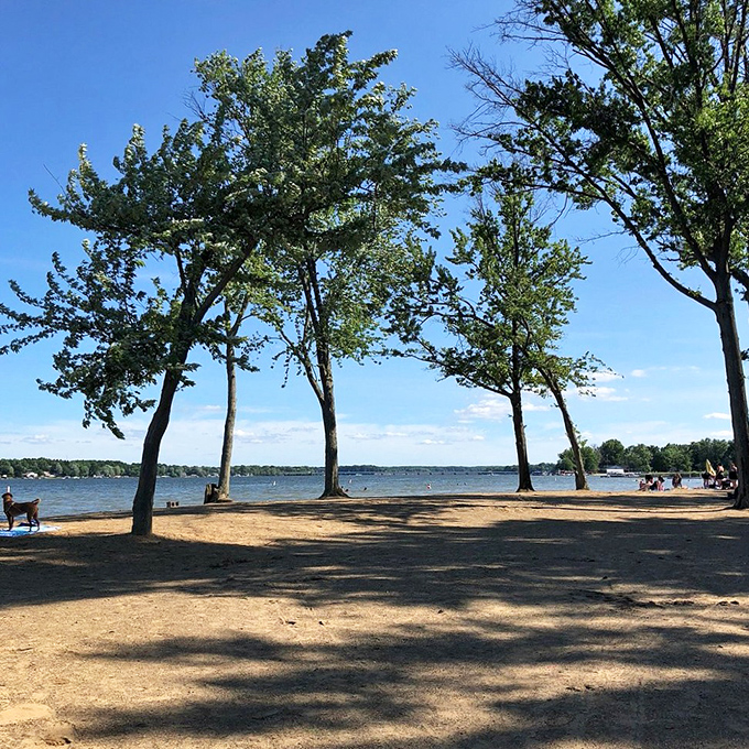 Shaded picnic spots and calm waters make this the ideal family beach destination.