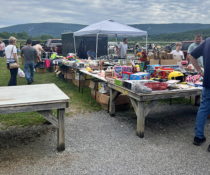 Mountain views frame rustic displays where authentic country finds meet serious treasure hunting adventures.