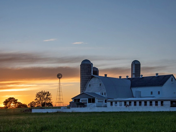 This magnificent barn complex showcases the architectural beauty that comes from generations of practical craftsmanship.