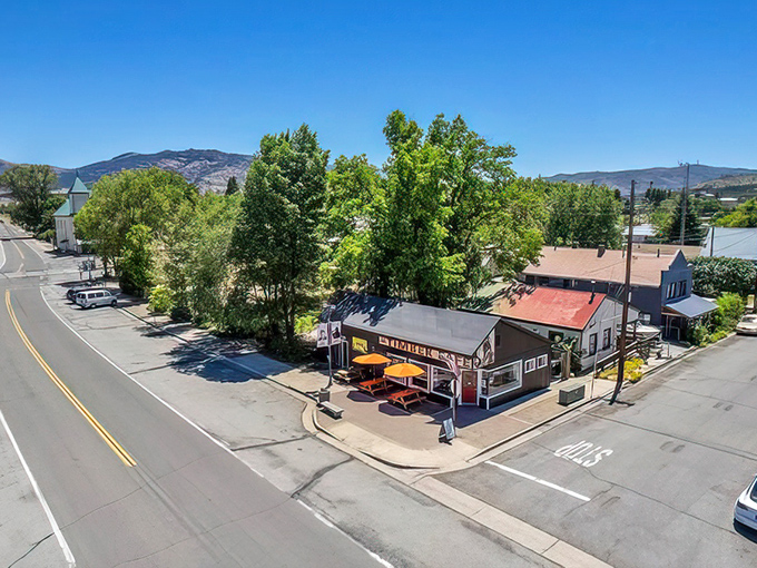 Loyalton's main street proves that trees transform small towns into magical wonderland scenes everywhere.