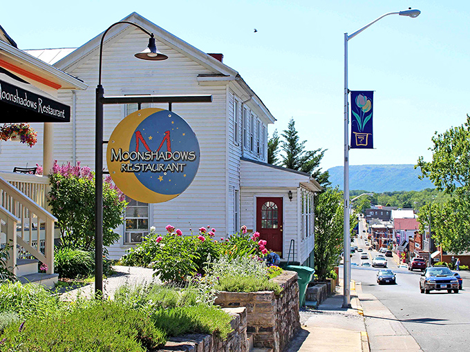 Luray's Main Street beckons with that "let's explore every shop" energy that makes wallets nervous but hearts happy.