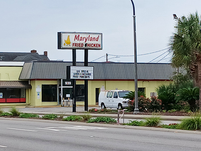 That classic roadside charm promises beach town comfort food that delivers on every golden promise.