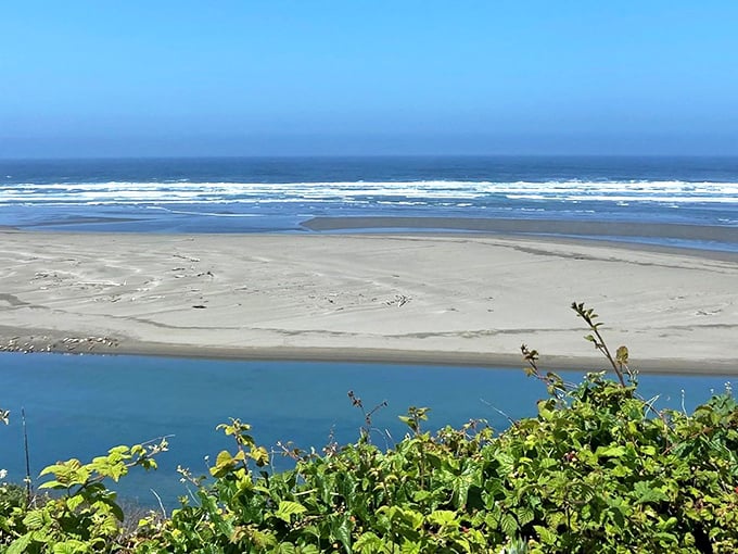 McKinleyville's expansive beach stretches endlessly, offering more elbow room than a first-class airplane seat.