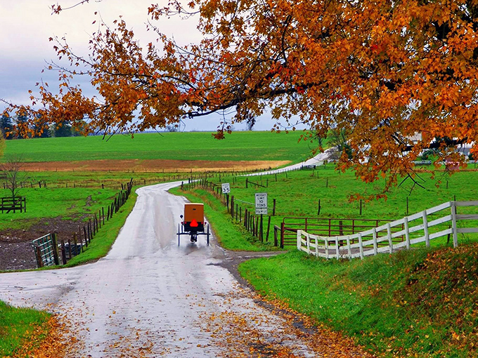 Paradise lives up to its name with picturesque farmland where Amish traditions continue in a setting worthy of a calendar.