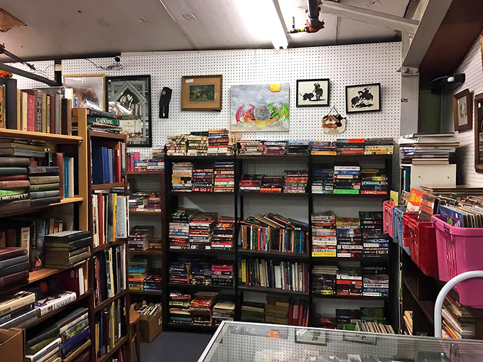 Books tower like literary skyscrapers in this bibliophile's paradise where every shelf promises another literary adventure awaits.