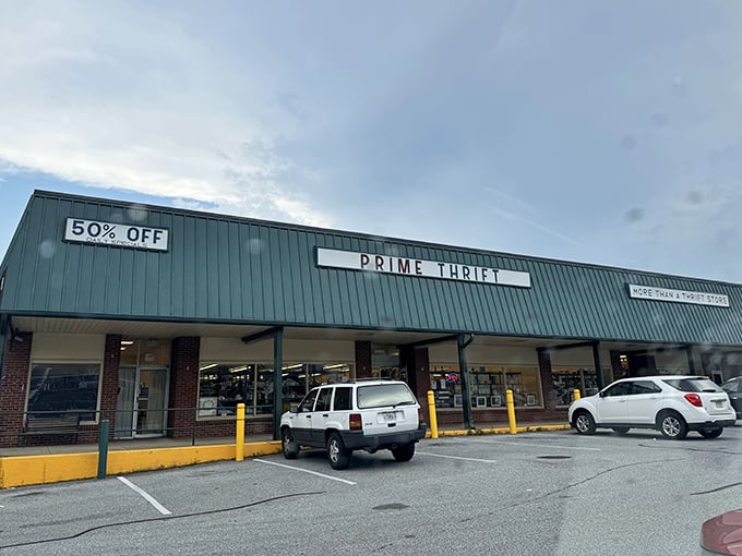 That "50% OFF" sign catches your eye like a beacon, promising deals that would make even Scrooge smile.