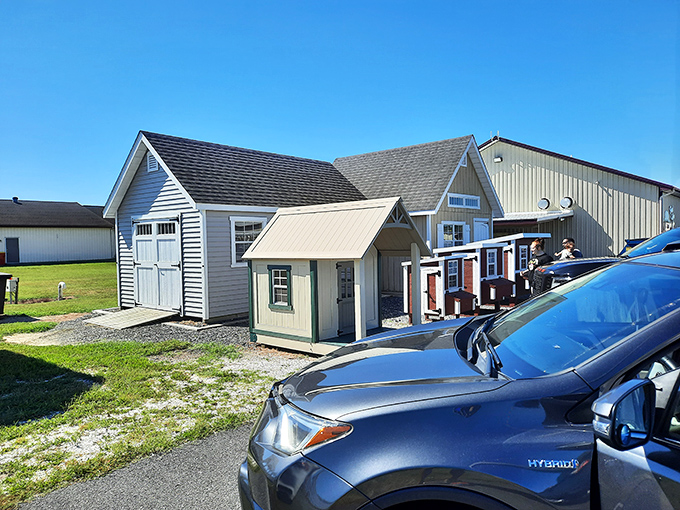 These charming little buildings look like a miniature village where giants come to shop for sheds.