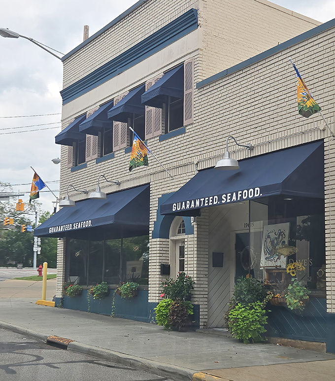 Rocky River's Pacific Northwest oasis proves that great salmon can swim upstream to unexpected Ohio locations.