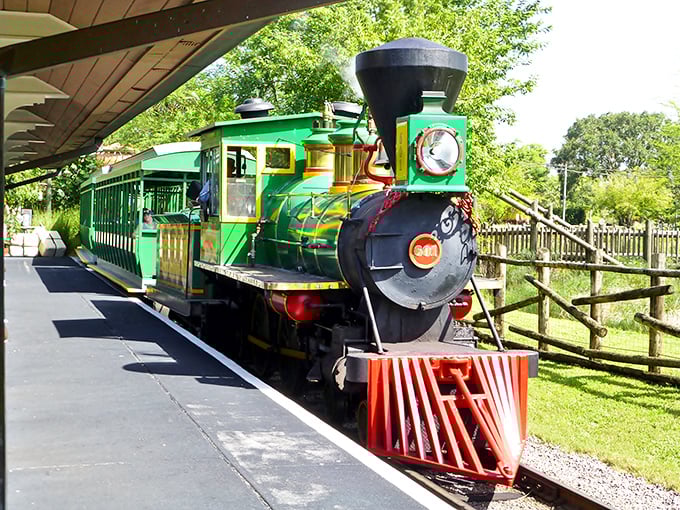Safari meets steam power as this colorful train prepares guests for an unforgettable wildlife adventure.