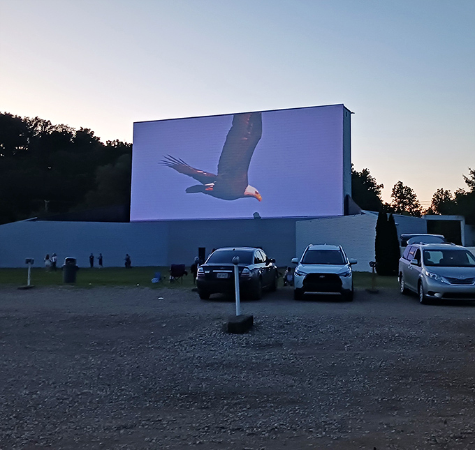 This playground slide adds family fun before the main attraction lights up the screen.
