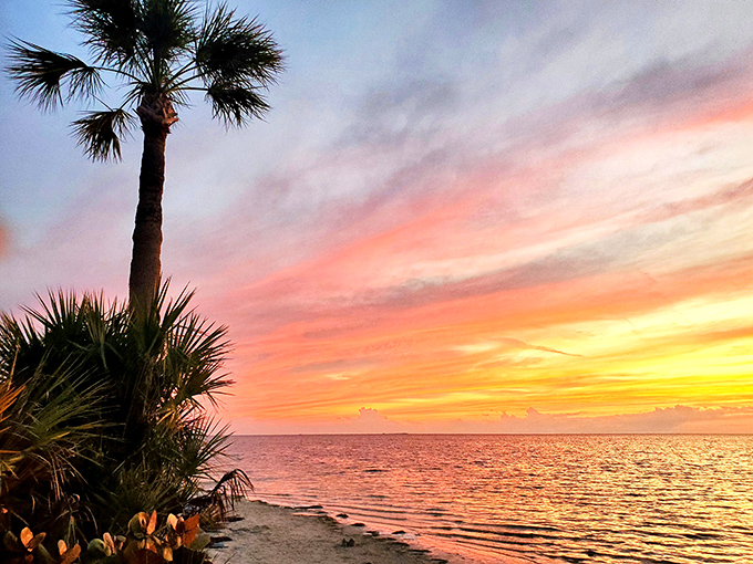 Swaying palms frame turquoise waters in this picture-perfect slice of Old Florida coastal charm.