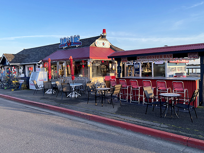 Red chairs, outdoor seating, and the promise of crab that'll make you forget your table manners. Some places just get it right.