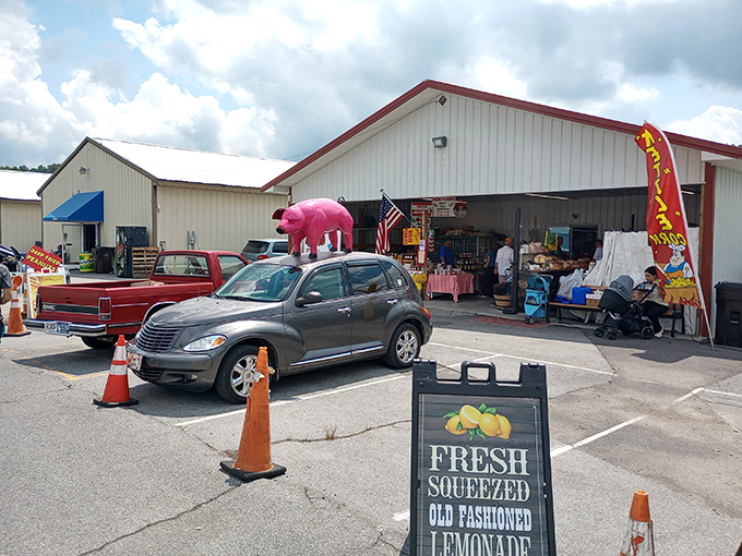 That pink pig on the car roof announces serious fun ahead at this community gathering spot.